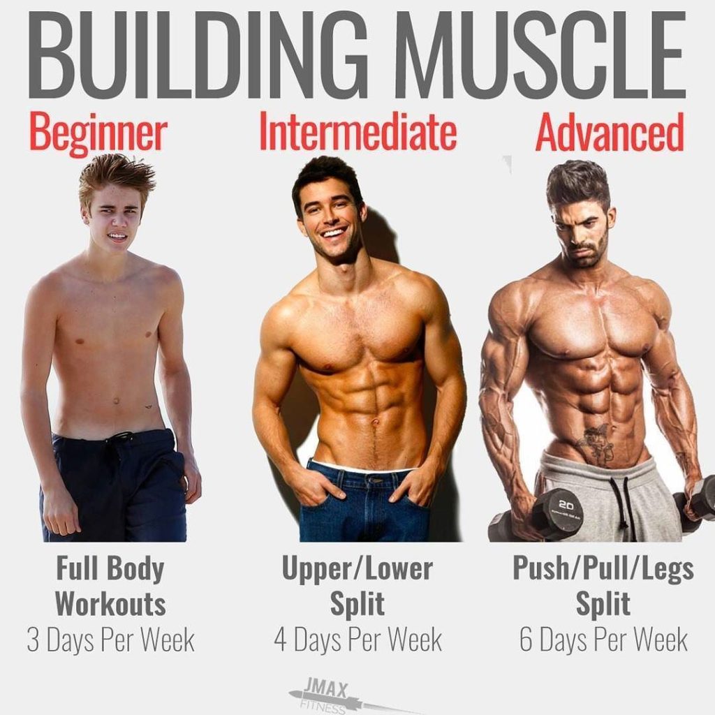 Sculpting the Perfect Physique: Bodybuilding Tips for Beginners - decco byte